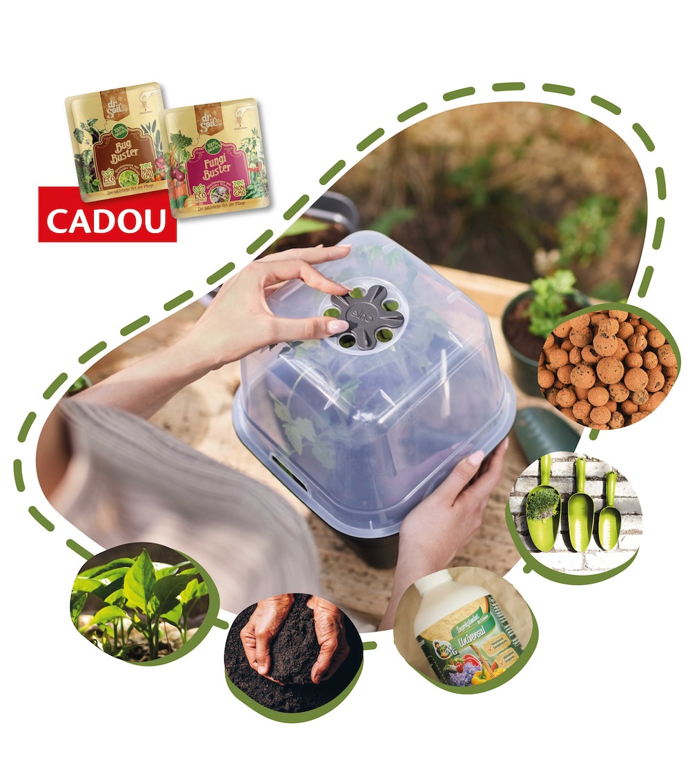 Starter Peppers – kit complet de crescut propriile răsaduri de ardei ...